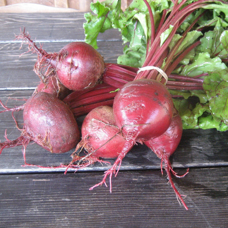 Beets – Hudson Valley Seed Company