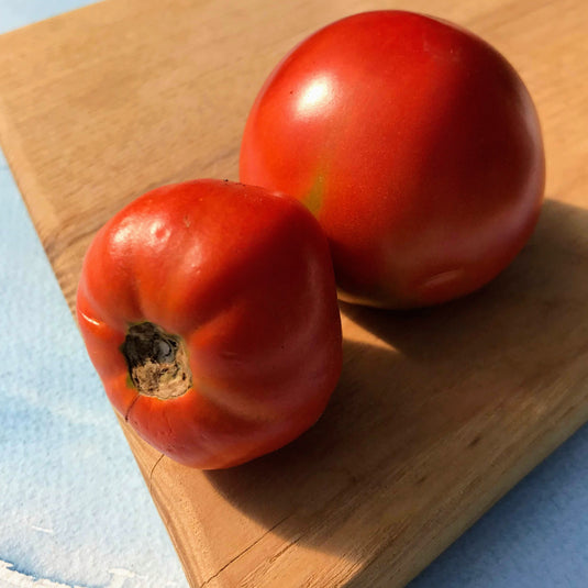 Rutgers Tomato Organic Seeds – Hudson Valley Seed Company